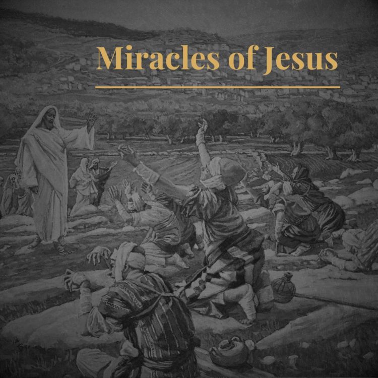 How Many Miracles Did Jesus Perform in the Bible? – Nick Chellsen